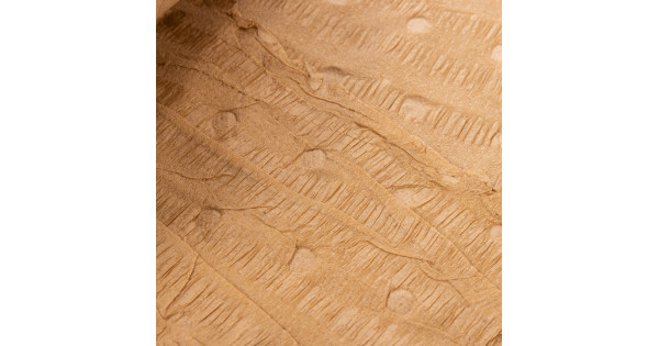 12" x 175' EcoMax™ Kraft Paper Cellulose Wadding in Self-Dispensed Box ...